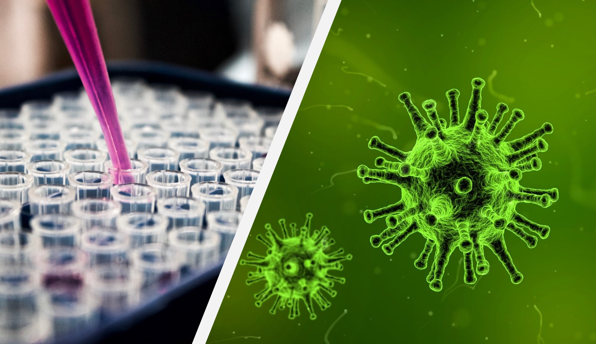 Understanding coronaviruses